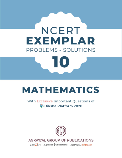 Ncert Exemplar Maths Class 10 Pdf Archives | ReadYourFlow - Read Or ...